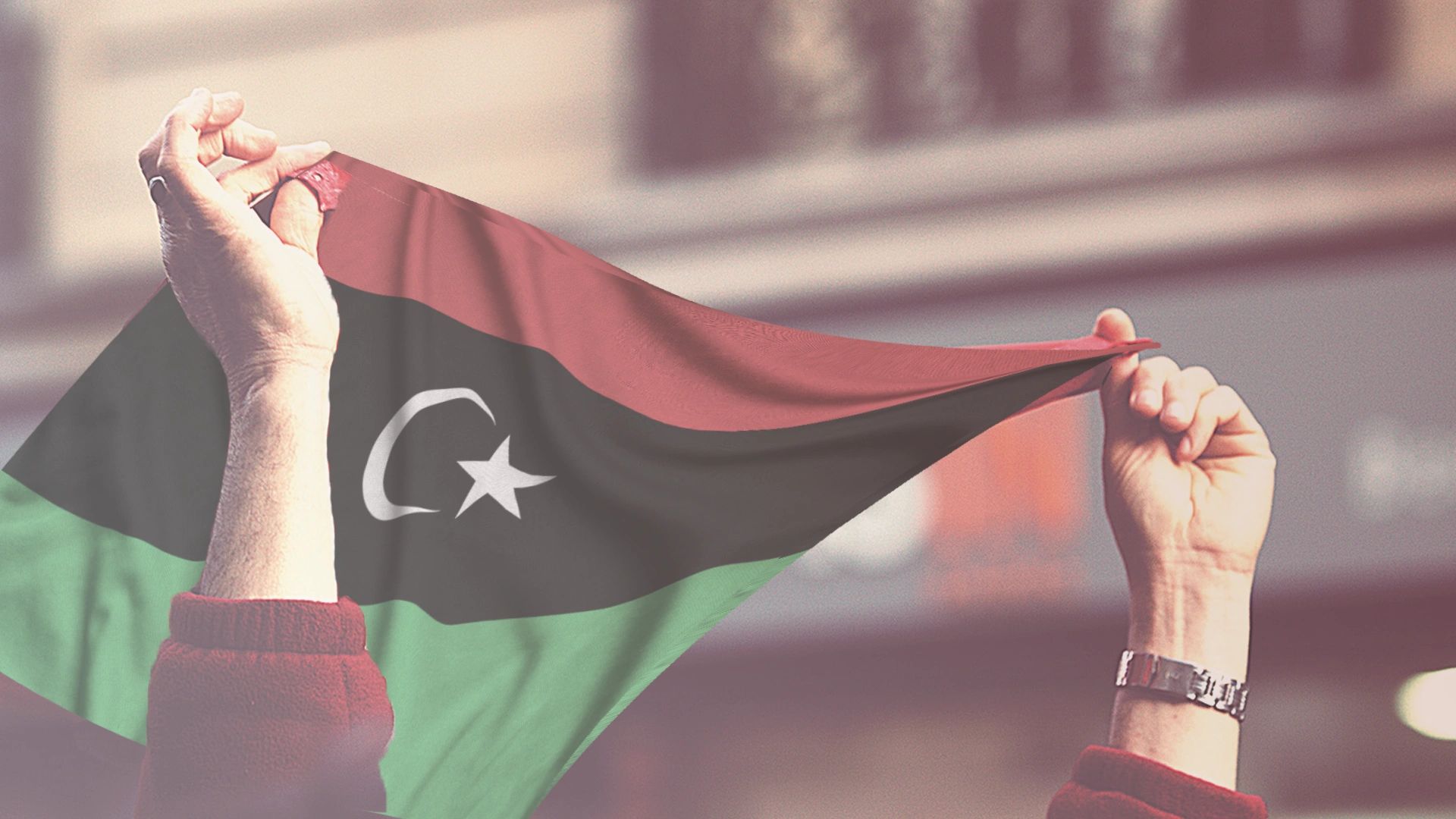 Contact Us | Libya Decides
